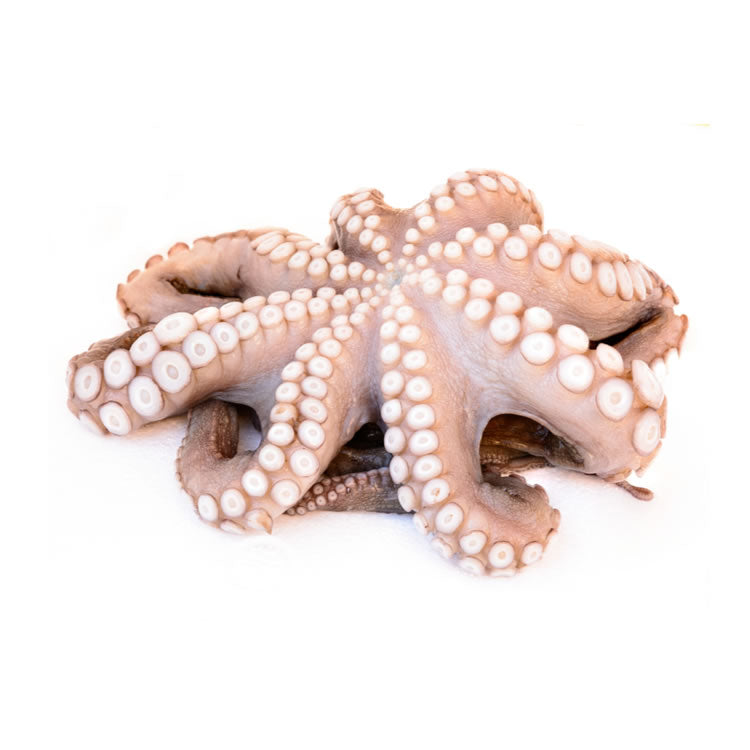 Octopus Flower | Raw | T7 - 500-800G Frozen